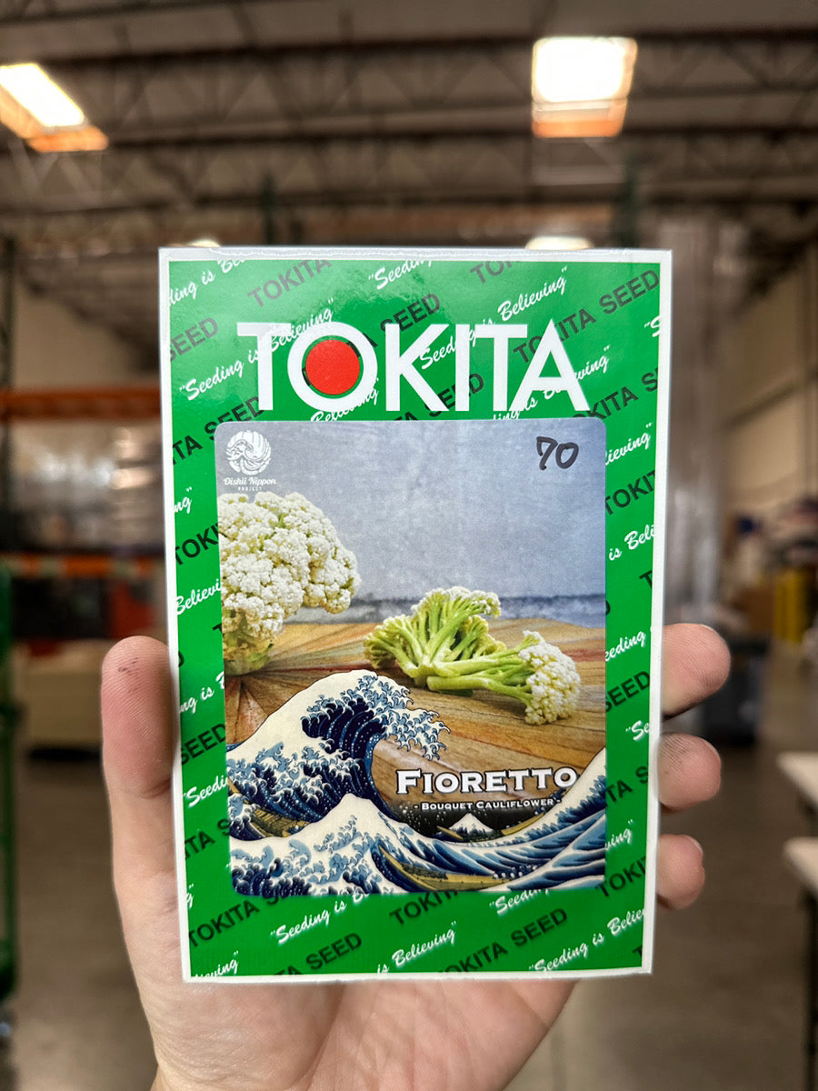 Fioretto seeds - フィオレットの種 - (50 seeds)
